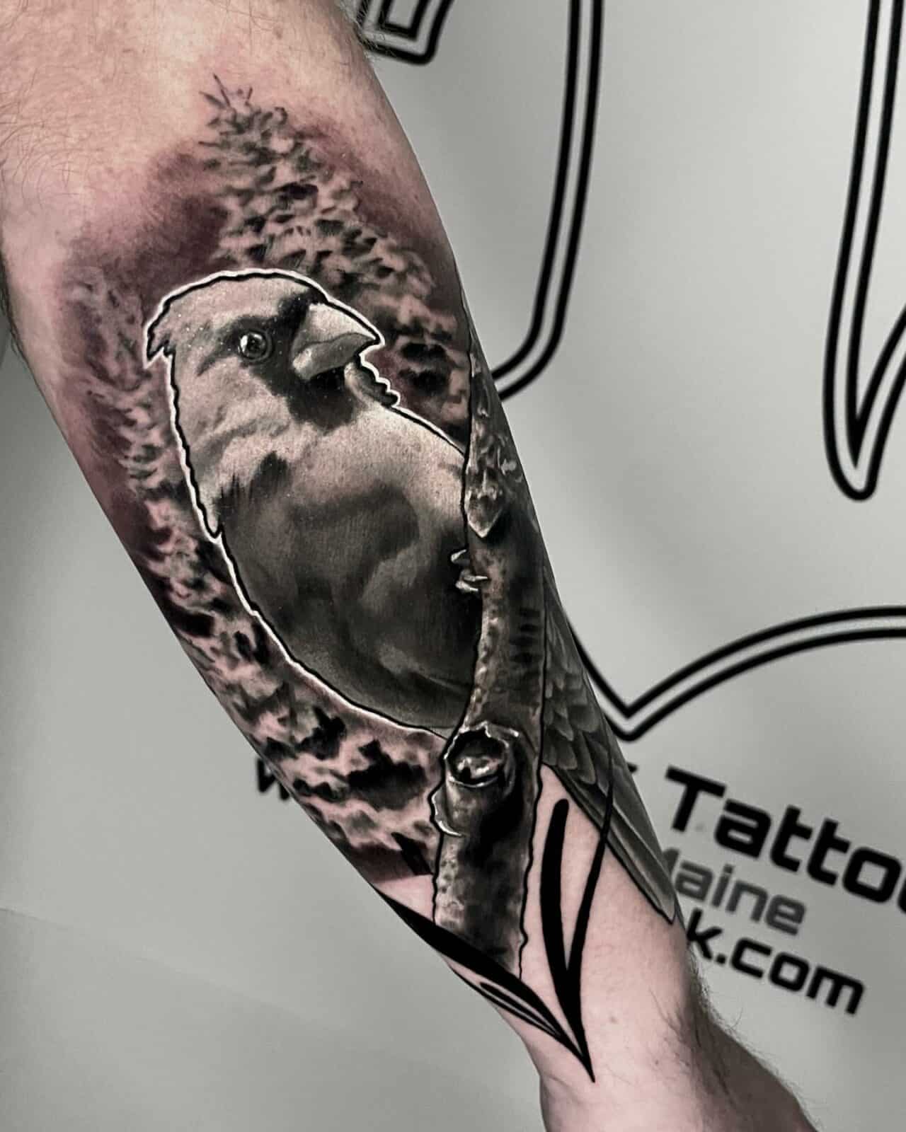 50 Cool Cardinal Tattoo Ideas for Men & Women in 2024