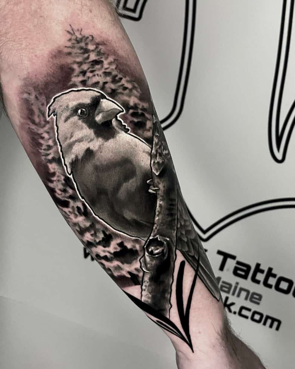 50 Cool Cardinal Tattoo Ideas for Men & Women in 2024