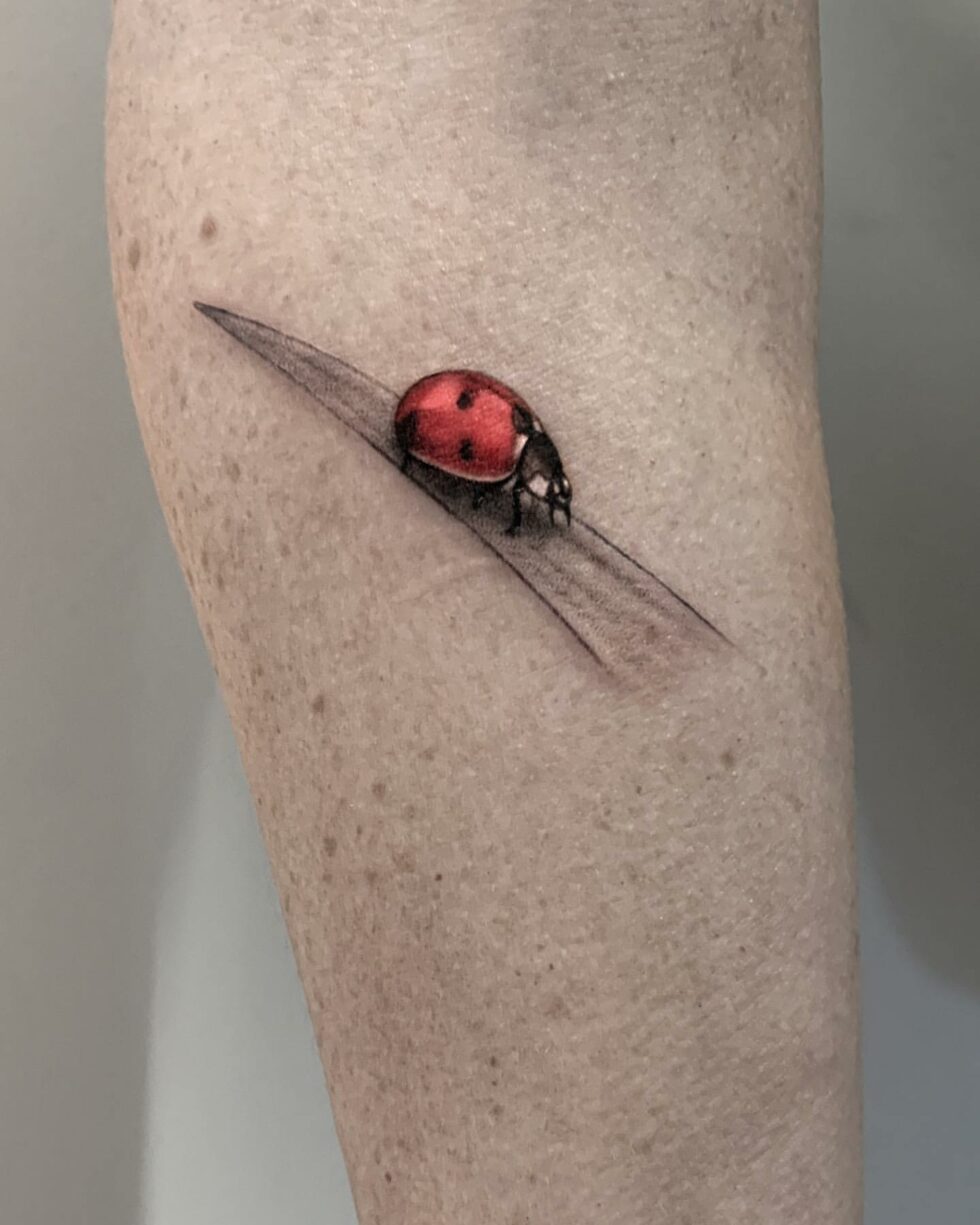 30 Incredibly Interesting Insect Tattoo Ideas for Men & Women in 2024