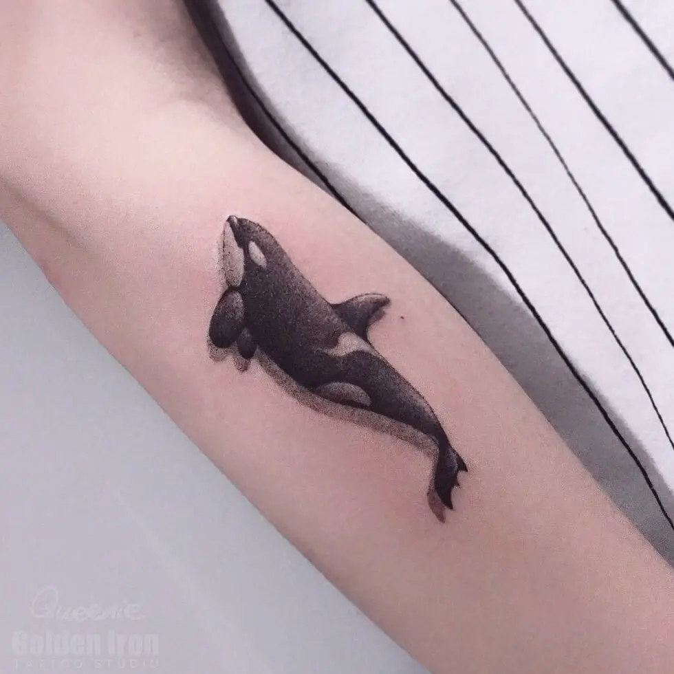 Killer Ink: 20+ Orca Tattoo Ideas for Women & Men in 2024
