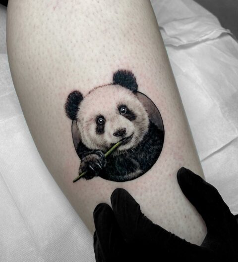 24 Amazingly Cute Panda Tattoo Ideas for Men & Women
