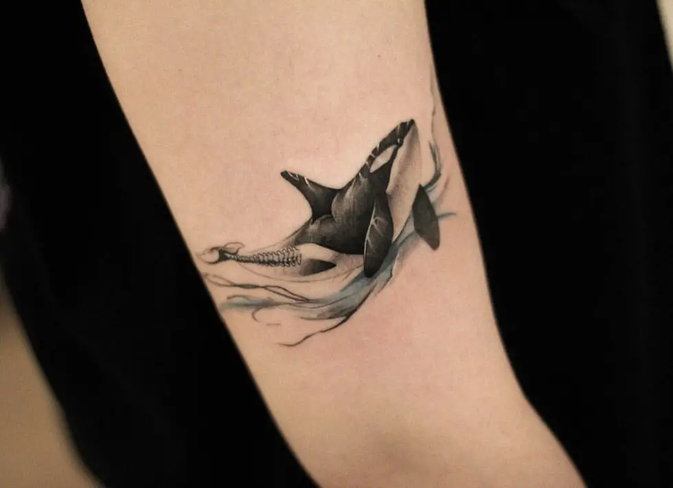 Killer Ink: 20+ Orca Tattoo Ideas for Women & Men in 2024