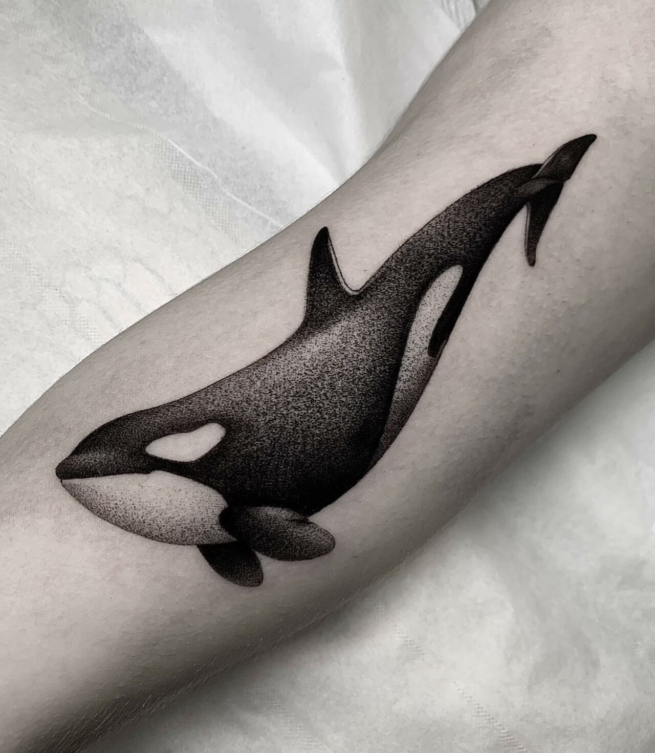 Killer Ink: 20+ Orca Tattoo Ideas for Women & Men in 2024