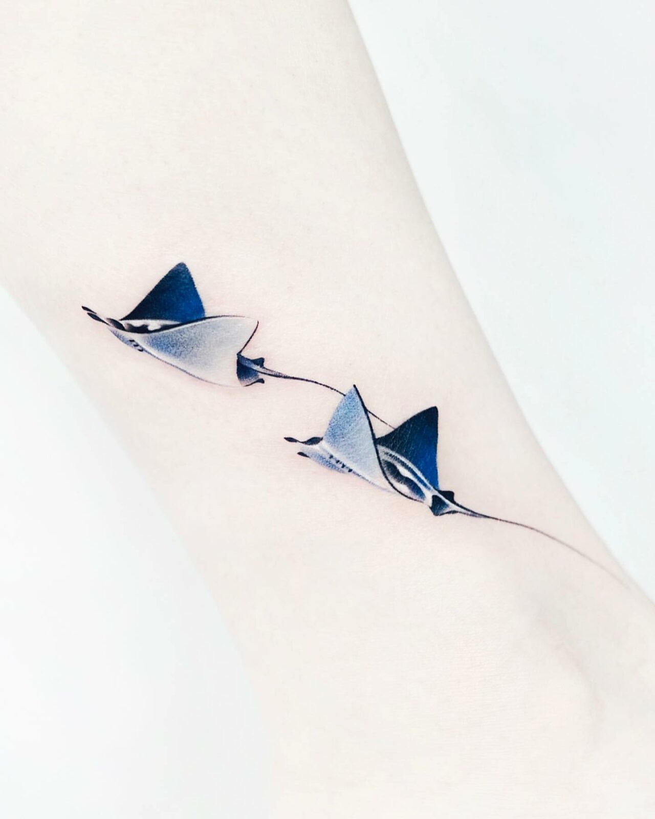 56 Unique Sea Animal Tattoo Ideas for Men & Women in 2024