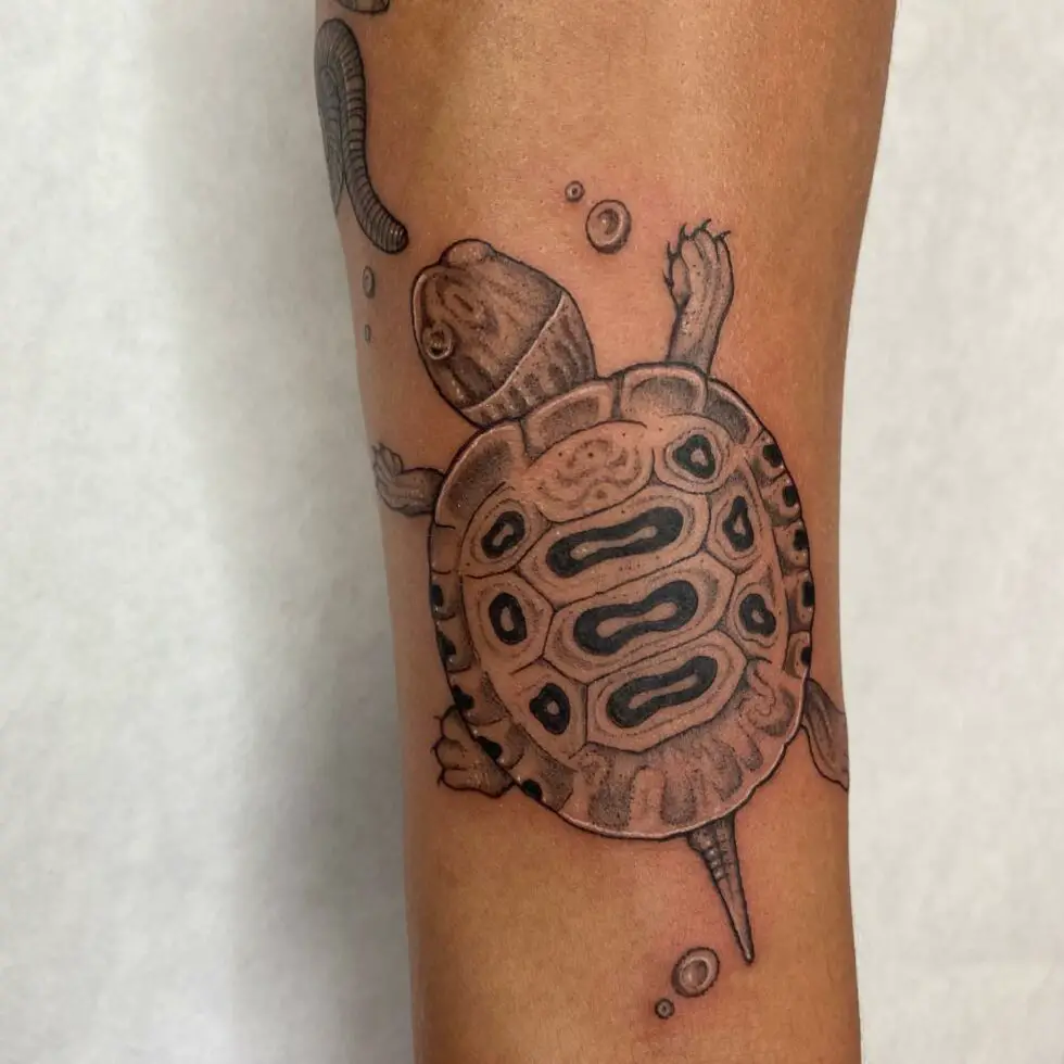 Turtle Power: 30 Sea Turtle Tattoo Ideas for Women & Men in 2024