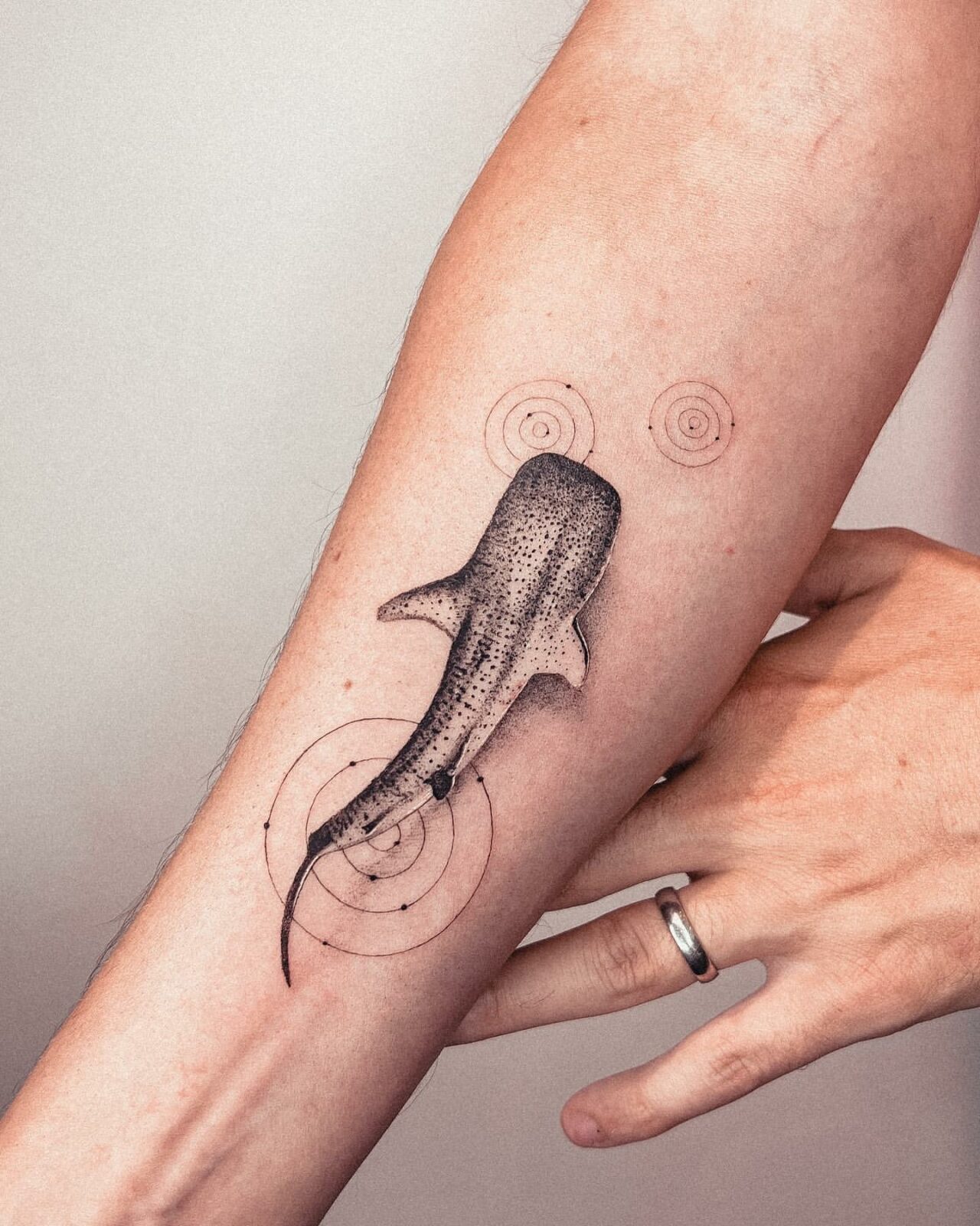 56 Unique Sea Animal Tattoo Ideas for Men & Women in 2024
