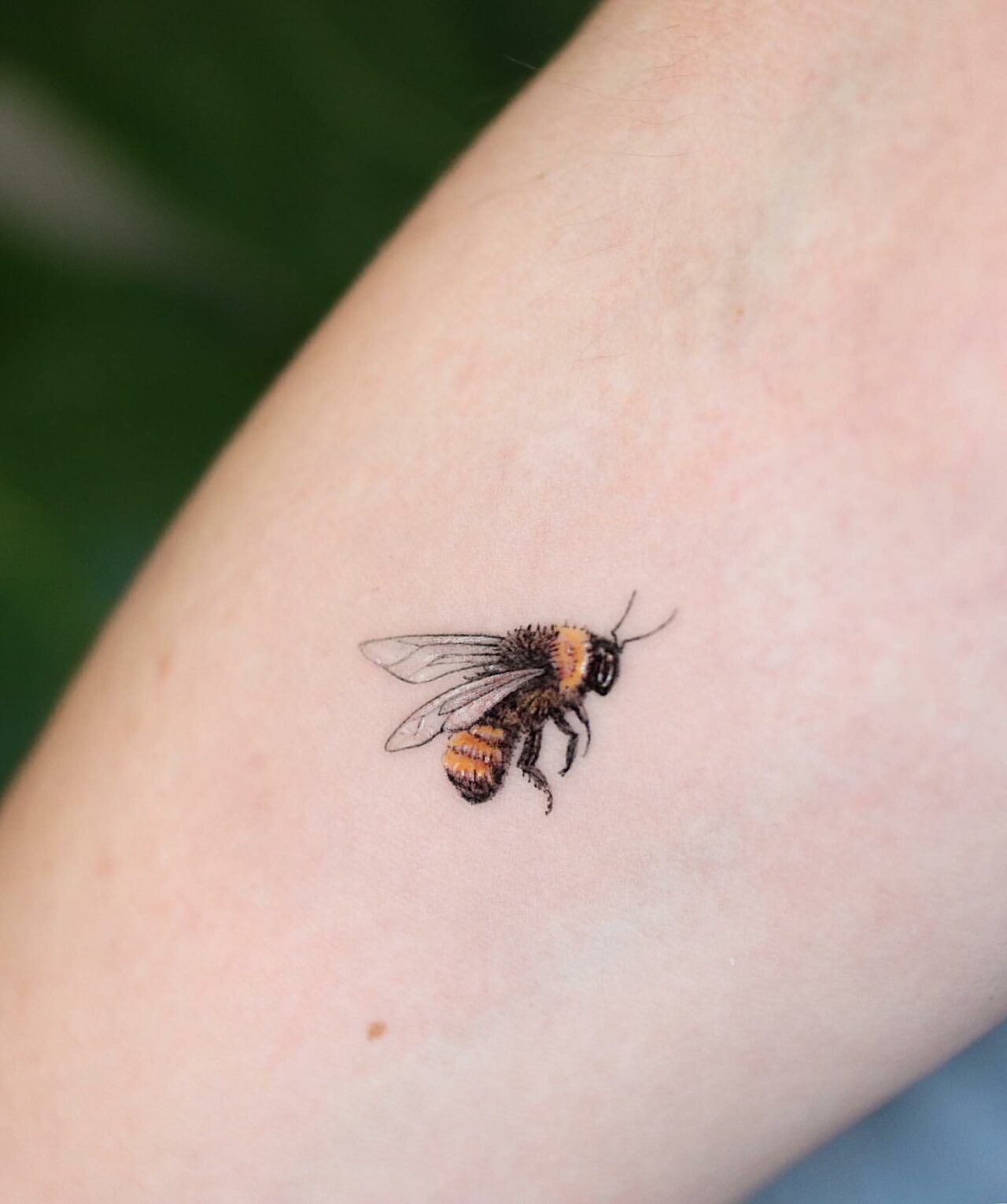 30 Incredibly Interesting Insect Tattoo Ideas for Men & Women in 2024