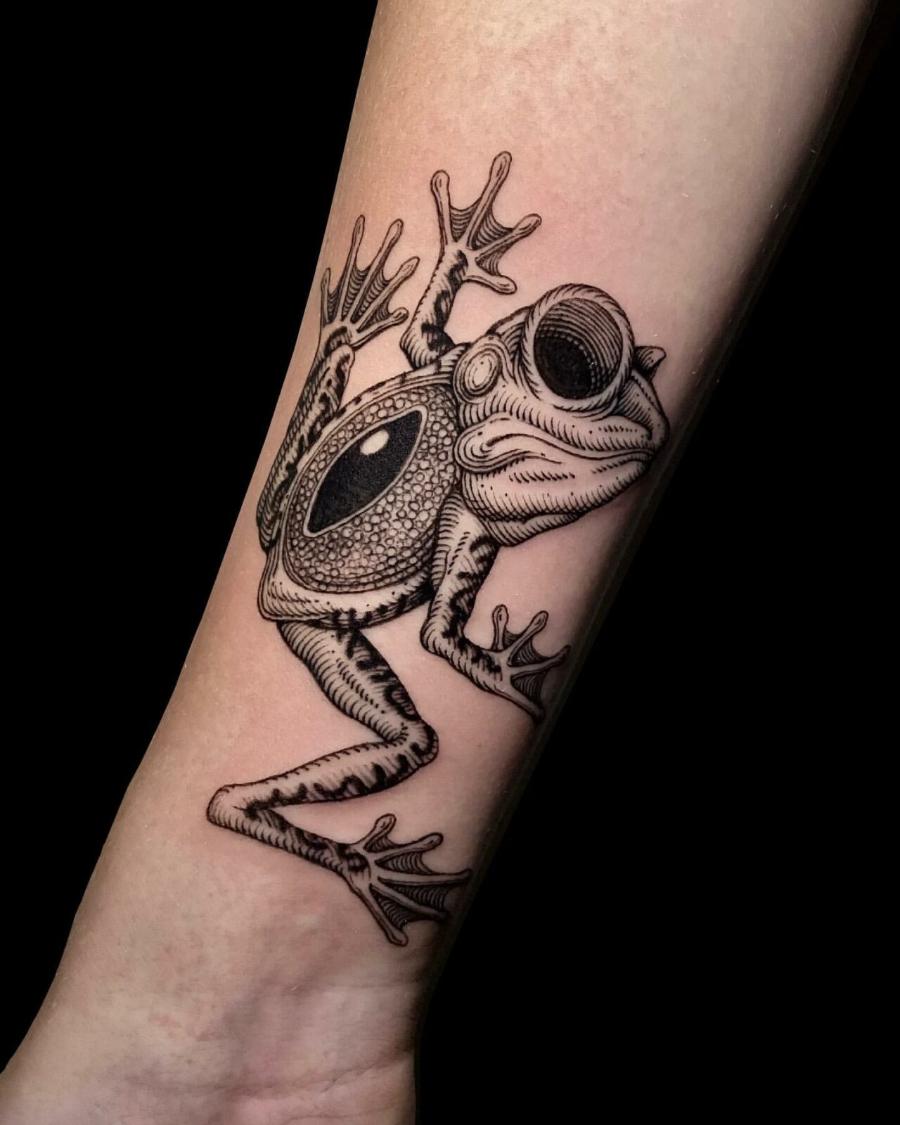 30 Fabulous Frog Tattoo Ideas for Men & Women in 2024