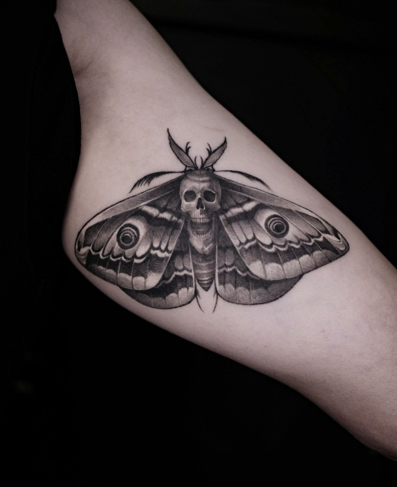 25 Stunning Moth Tattoo Ideas For Men & Women in 2023