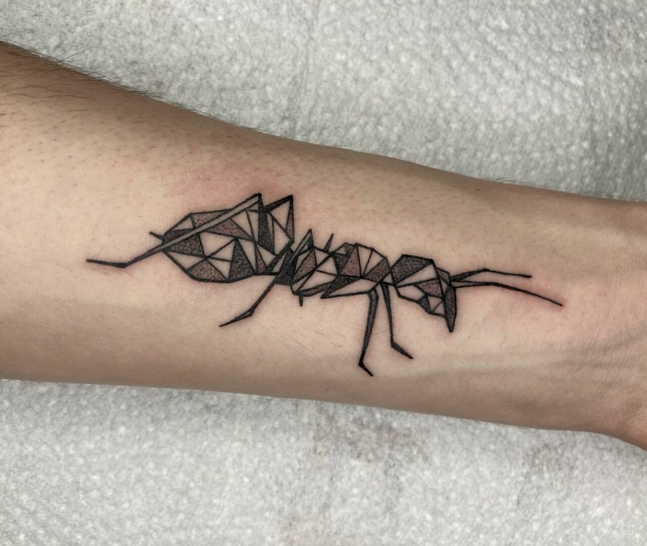 17 Best Ant Tattoo Ideas for Men & Women in 2023
