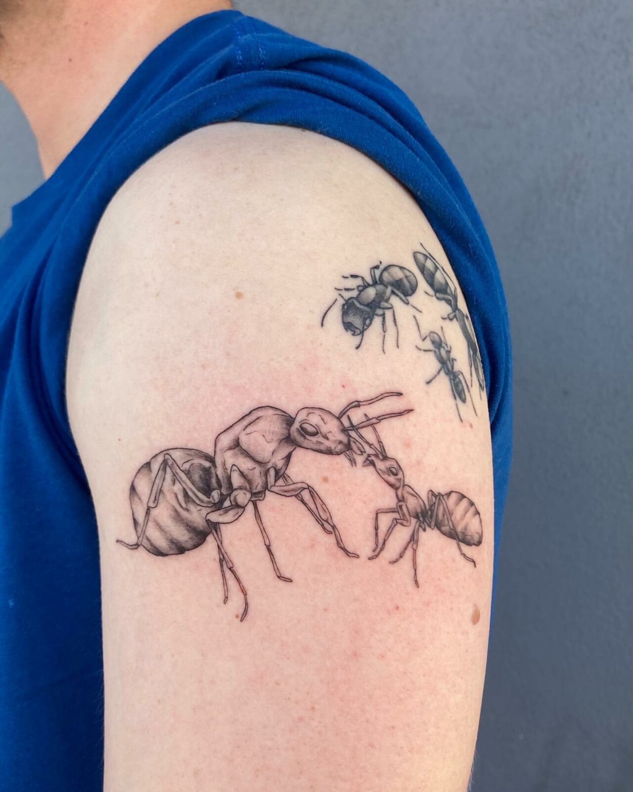 17 Best Ant Tattoo Ideas for Men & Women in 2023