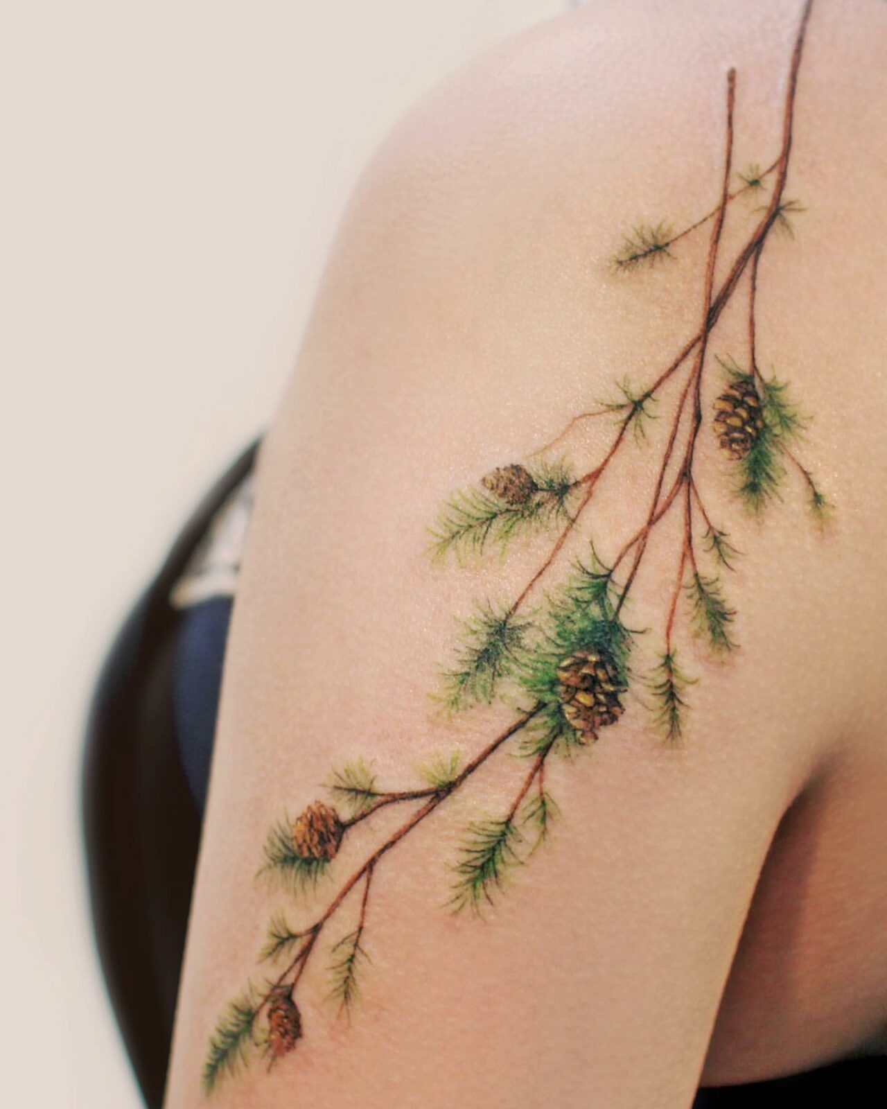 20 Stunning Pine Tree Tattoo Ideas for Men & Women in 2024