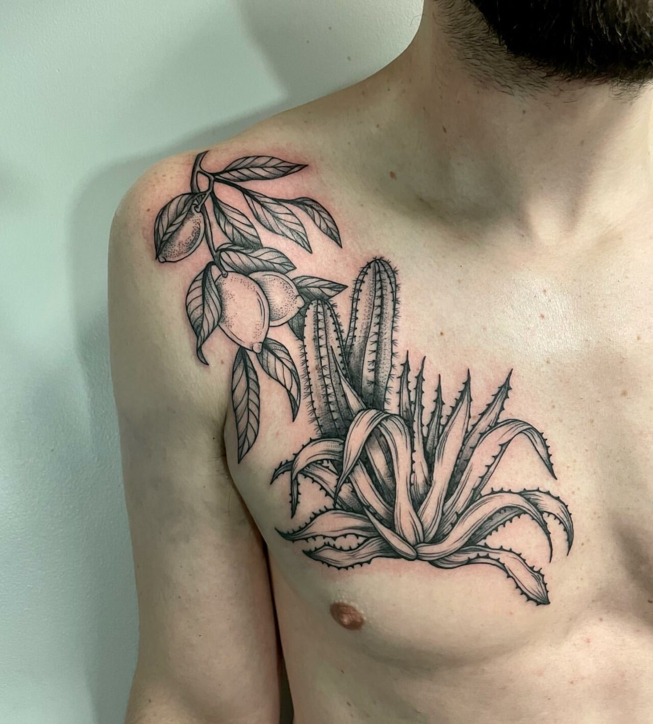 29 Cool Cactus Tattoo Ideas for Men & Women in 2024