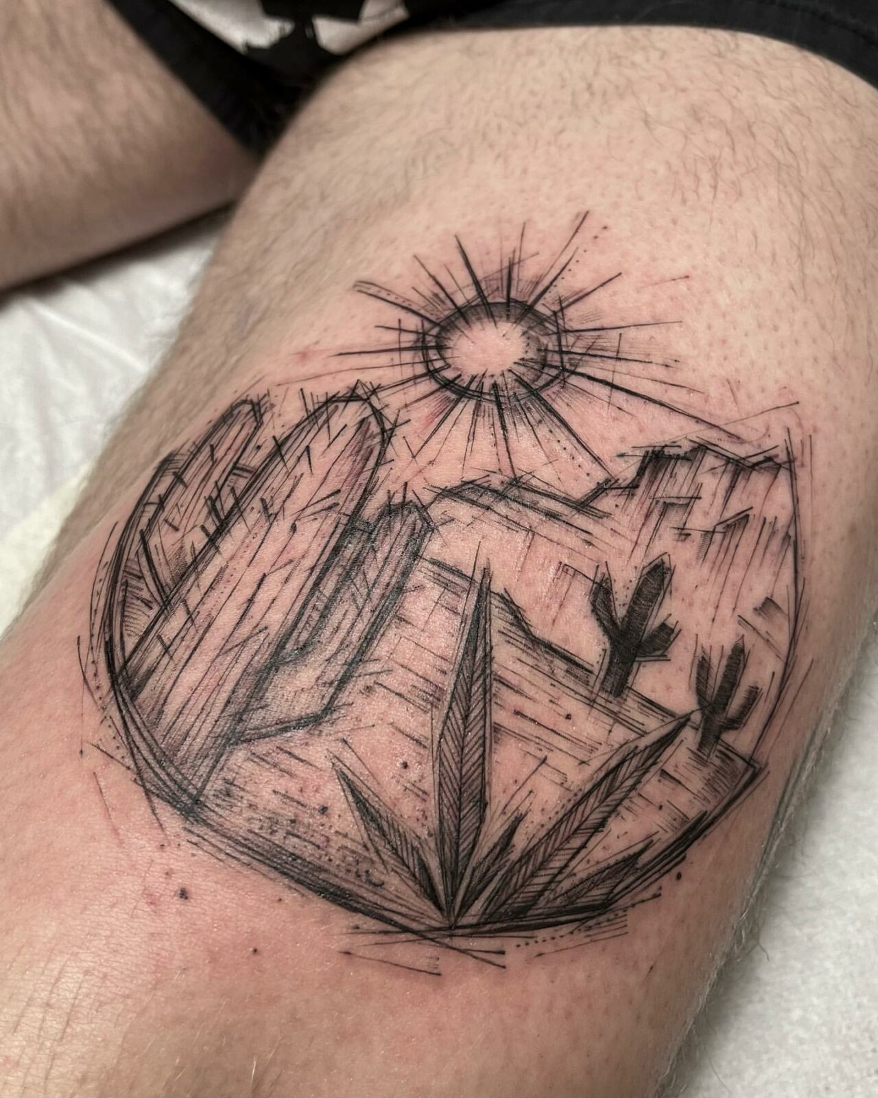 29 Cool Cactus Tattoo Ideas for Men & Women in 2024