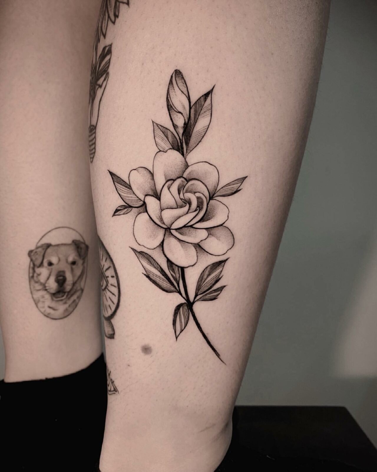 26 Stunning Gardenia Tattoo Ideas to Inspire You in 2024