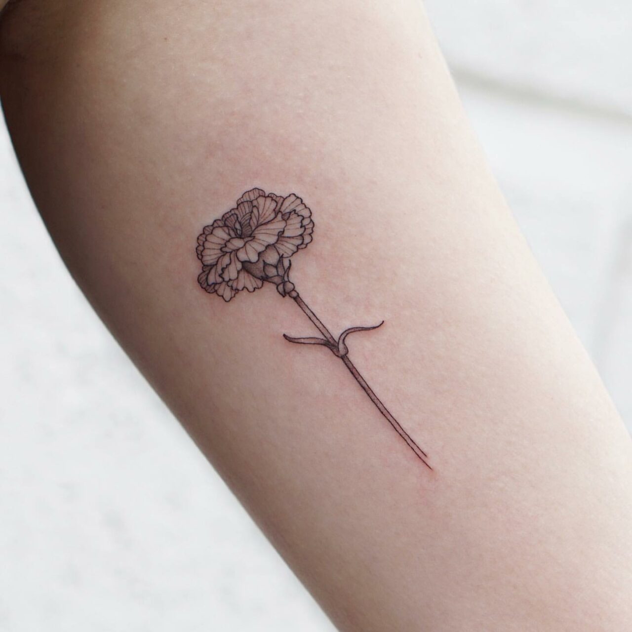31 Beautiful Carnation Tattoo Ideas for Men & Women in 2024
