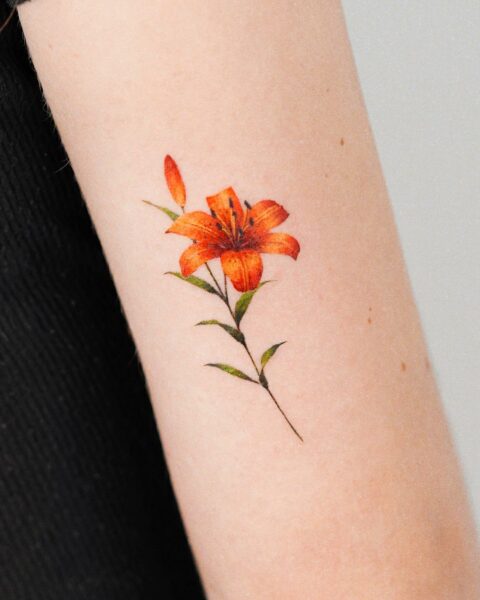 38 Beautiful Lily Tattoo Ideas to Inspire You in 2024