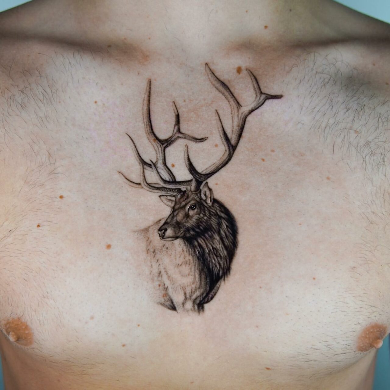 33 Cool Chest Tattoo Ideas for Men in 2024