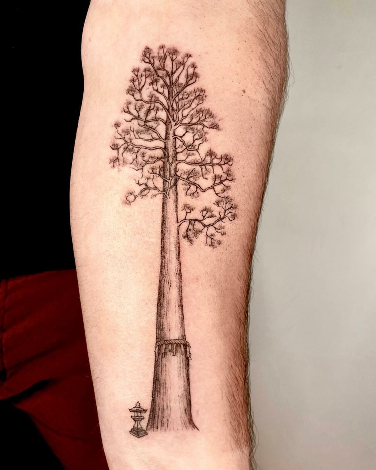 32 Exceptional Tree Tattoos for Men in 2023