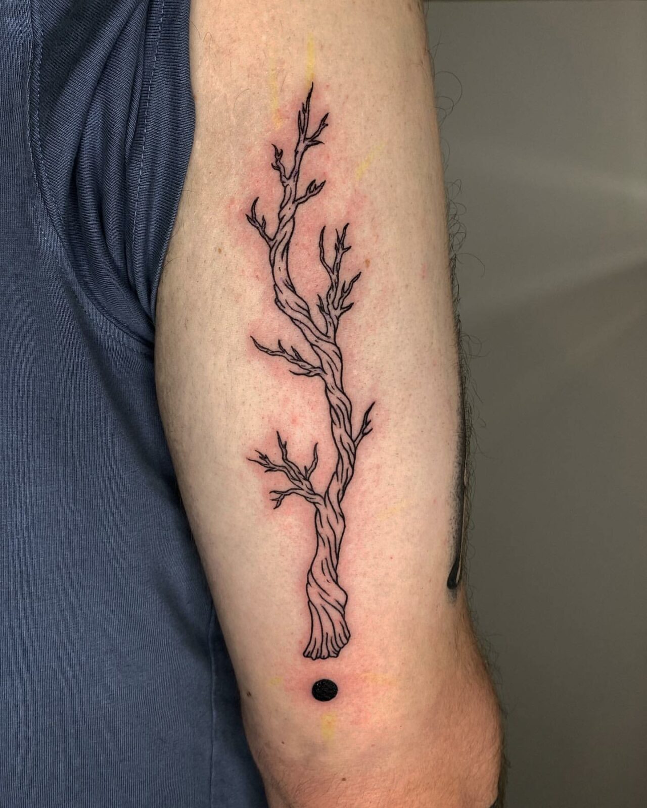 32 Exceptional Tree Tattoos for Men in 2023