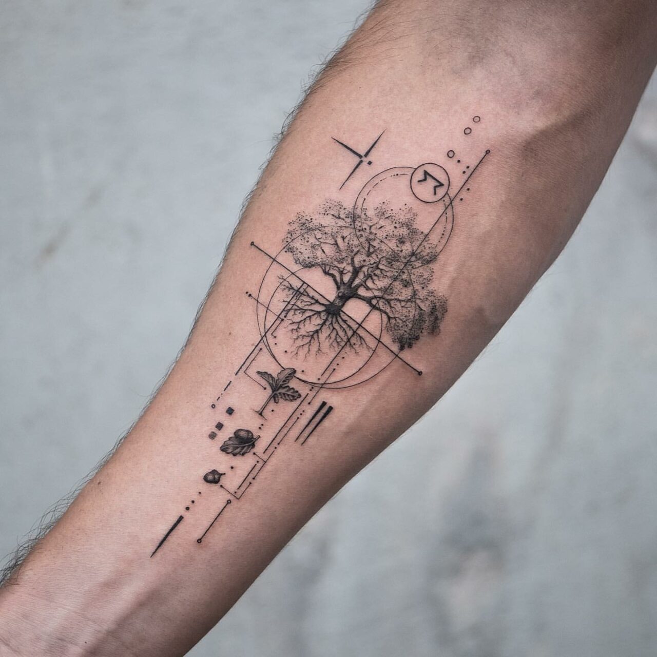 32 Exceptional Tree Tattoos for Men in 2023