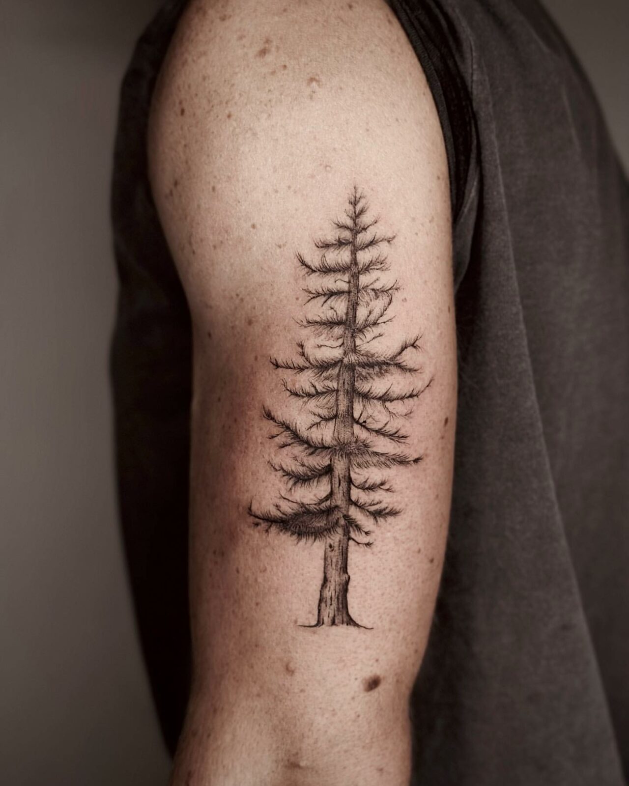 32 Exceptional Tree Tattoos for Men in 2023