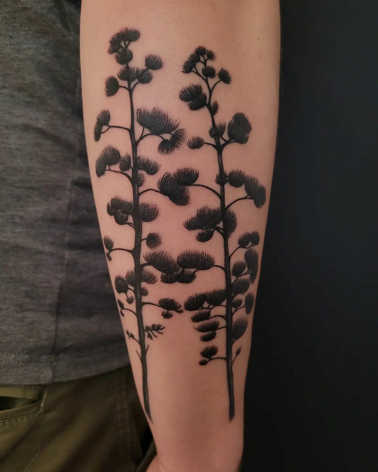 32 Exceptional Tree Tattoos for Men in 2023